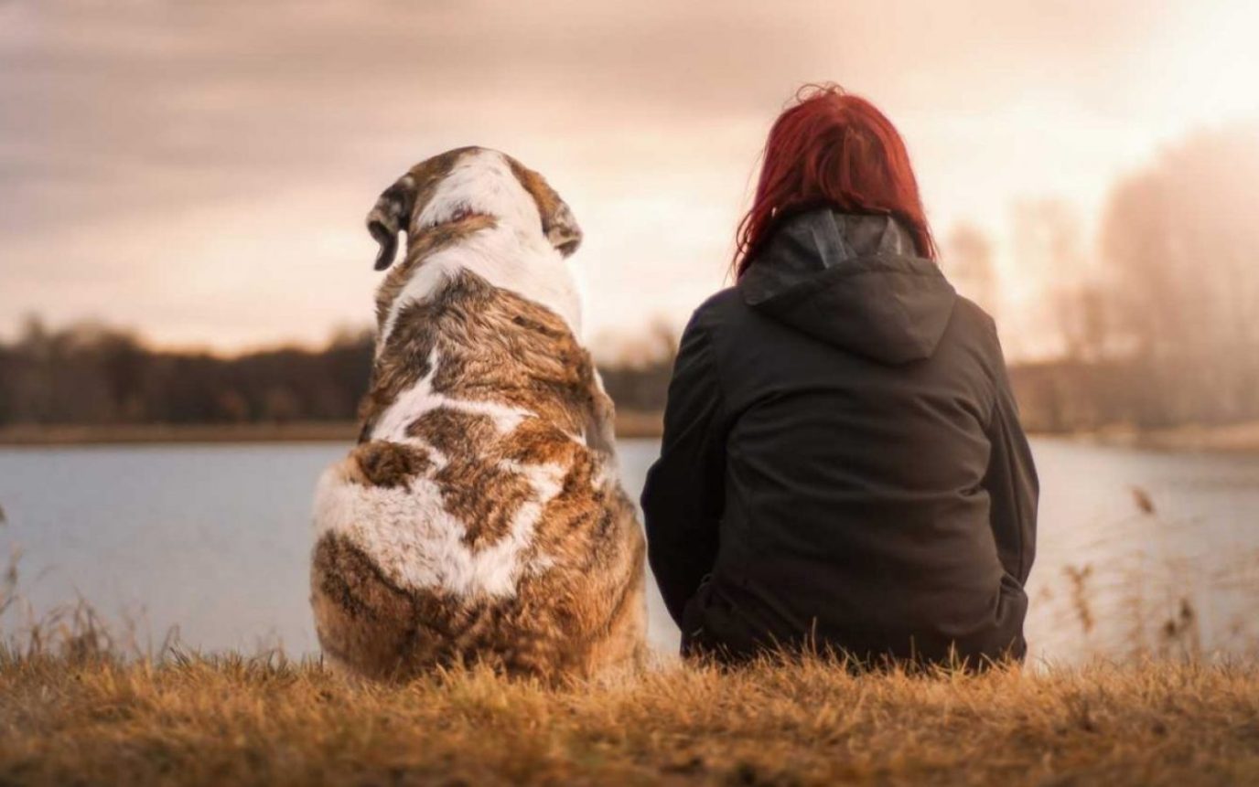 Mountain Girl Rescue – A Northern Arizona Animal Rescue