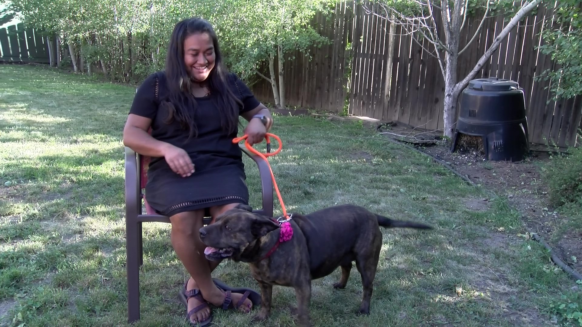 Mountain Girl Rescue – A Northern Arizona Animal Rescue